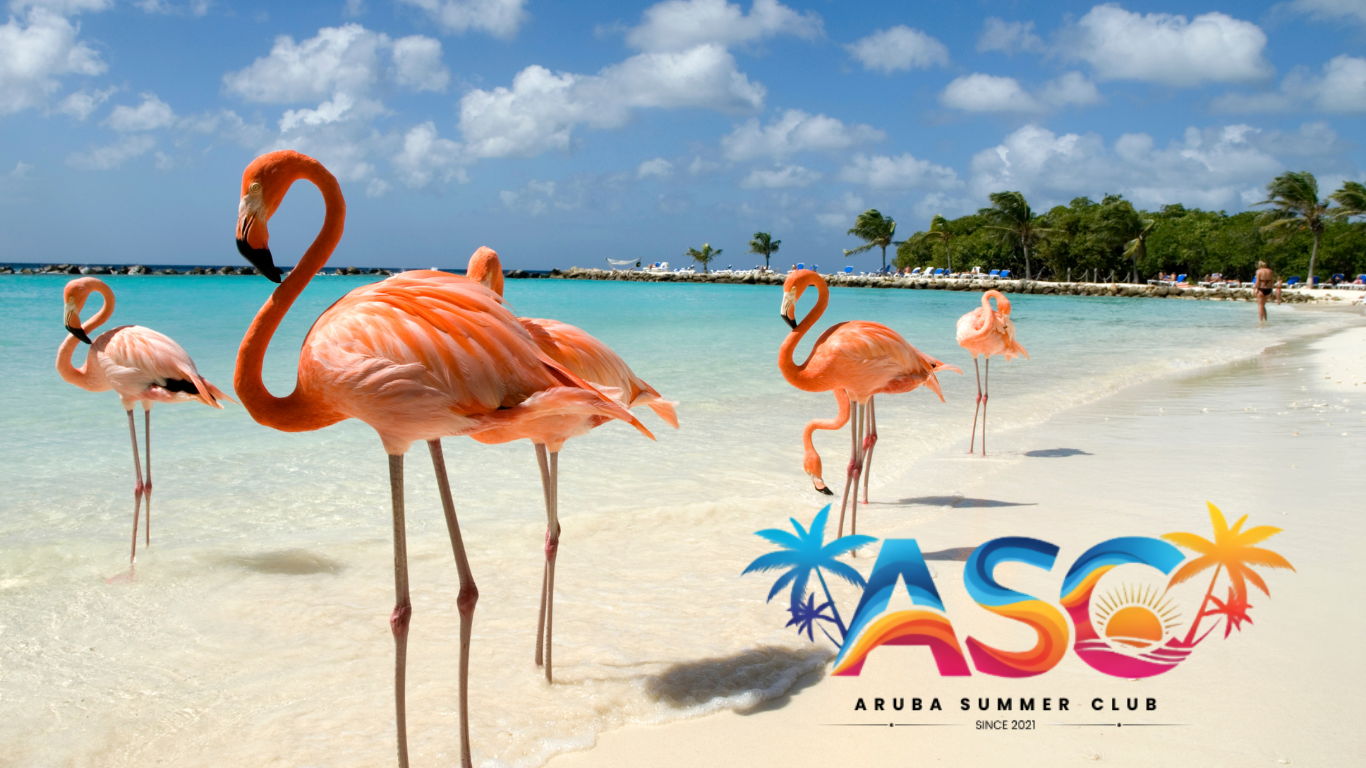 Home | Aruba Summer Club